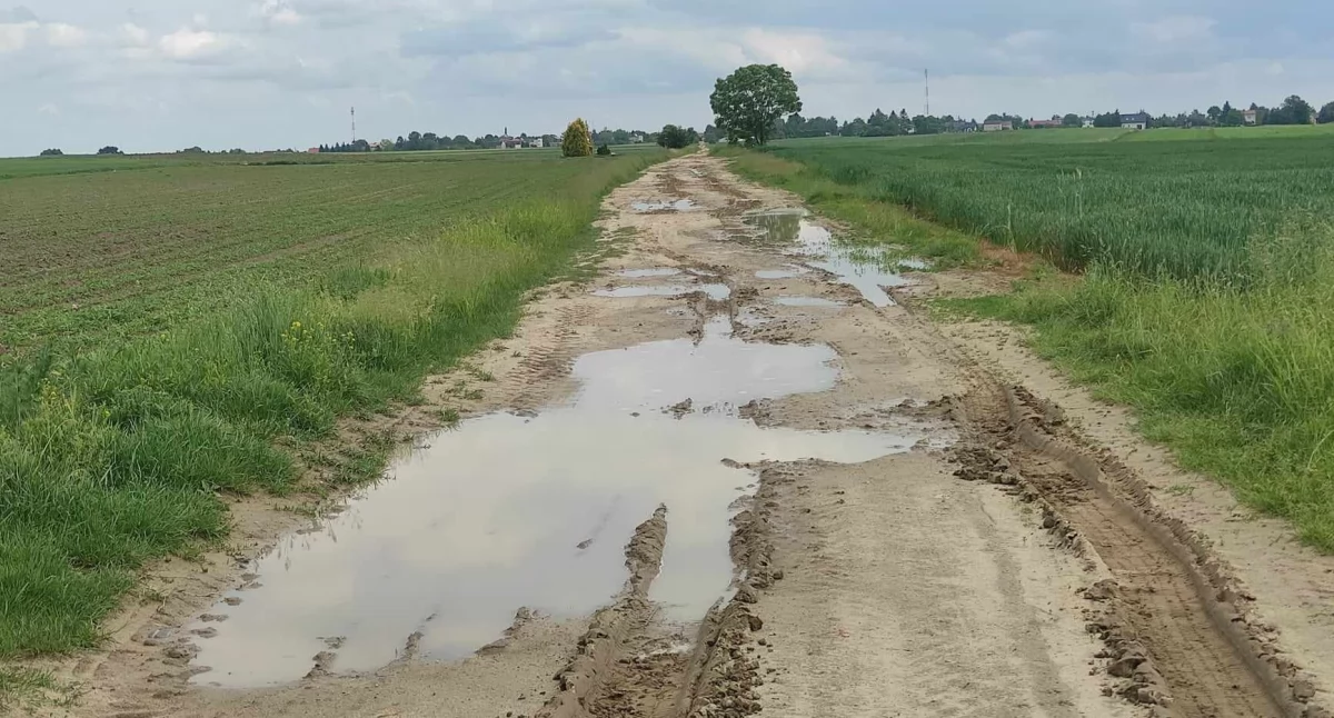 Powstanie ścieżka historycznym Traktem Kaliskim? Gminy czekają na ...